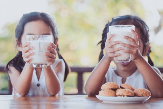Dampak Positif dan Negatif Konsumsi Susu Sapi - Yayasan Bangun ...